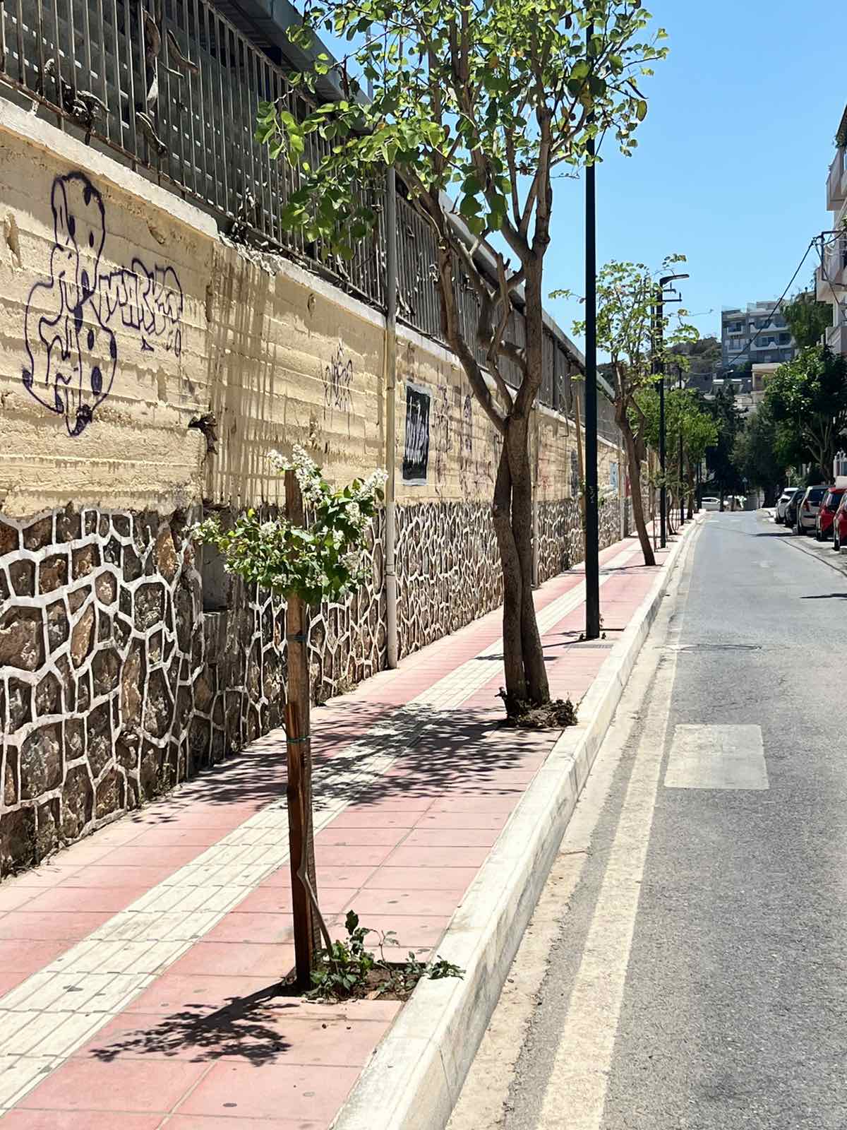 Εργασίες δενδροφύτευσης στον Άγιο Νικόλαο - Δήμος Αγίου Νικολάου